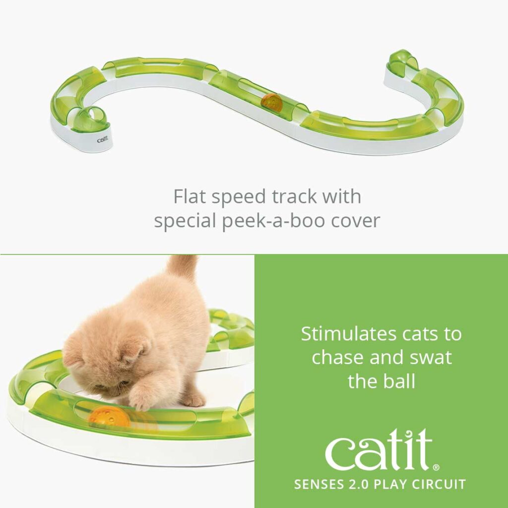 Catit Senses 2.0 Play Circuit | Flat Circuit Ball Toy For Cats