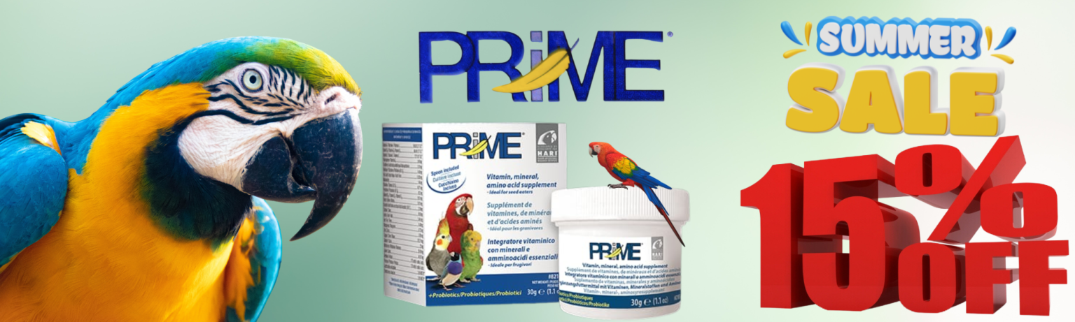 Maple Pets International Pvt Ltd | Fluval Canister Aquarium