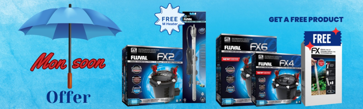 Maple Pets International Pvt Ltd | Fluval Canister Aquarium