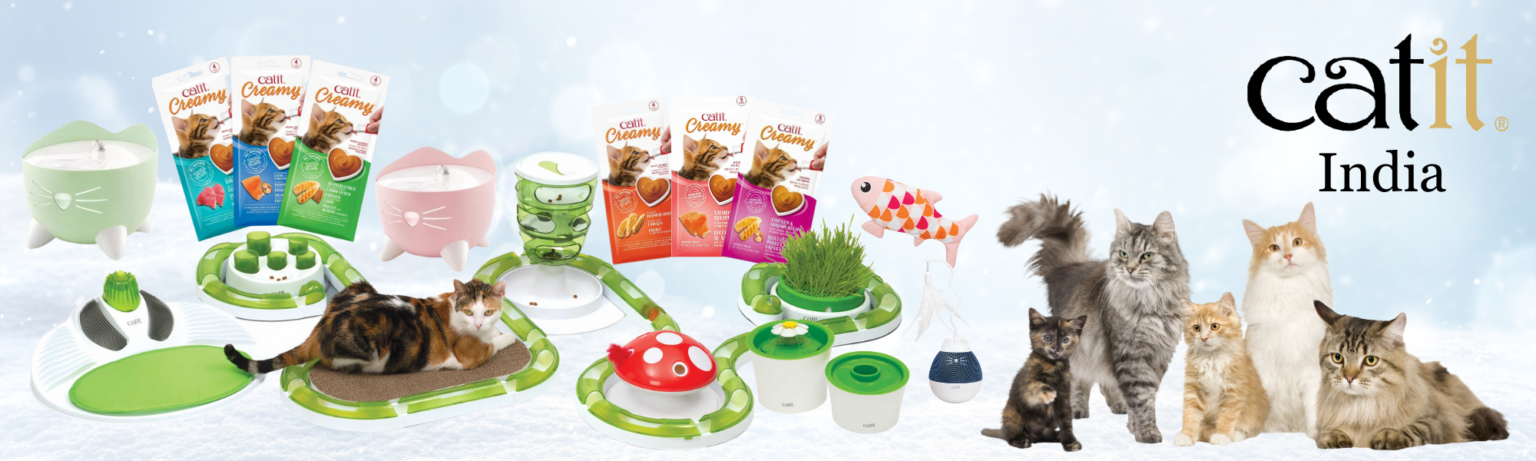 Maple Pets International Pvt Ltd | Fluval Canister Aquarium