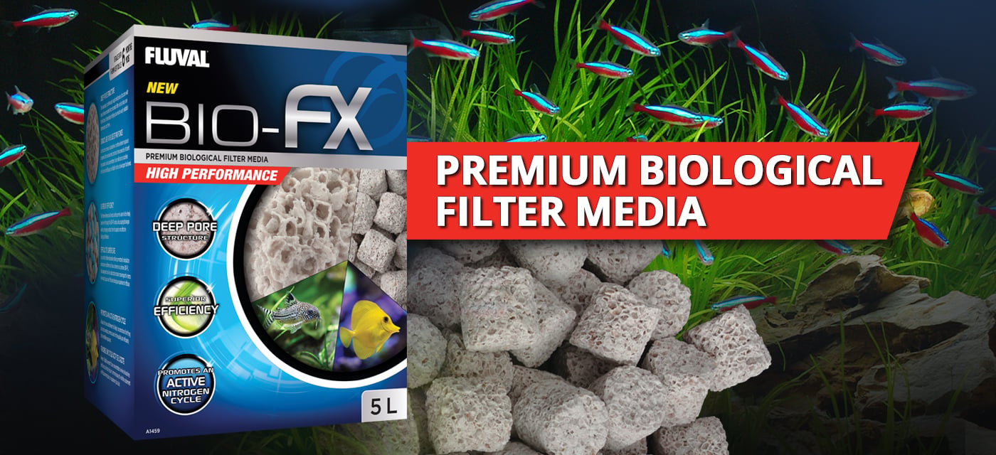 Best Biological Filter Media for Aquariums | Maple Pets