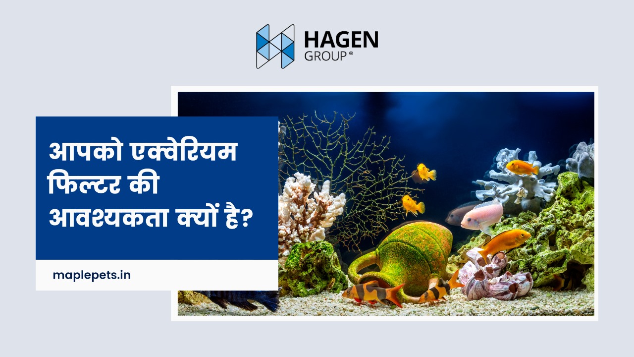 Maple Pets: Hagen's Pet Product, Shop Pet Supplies and Food