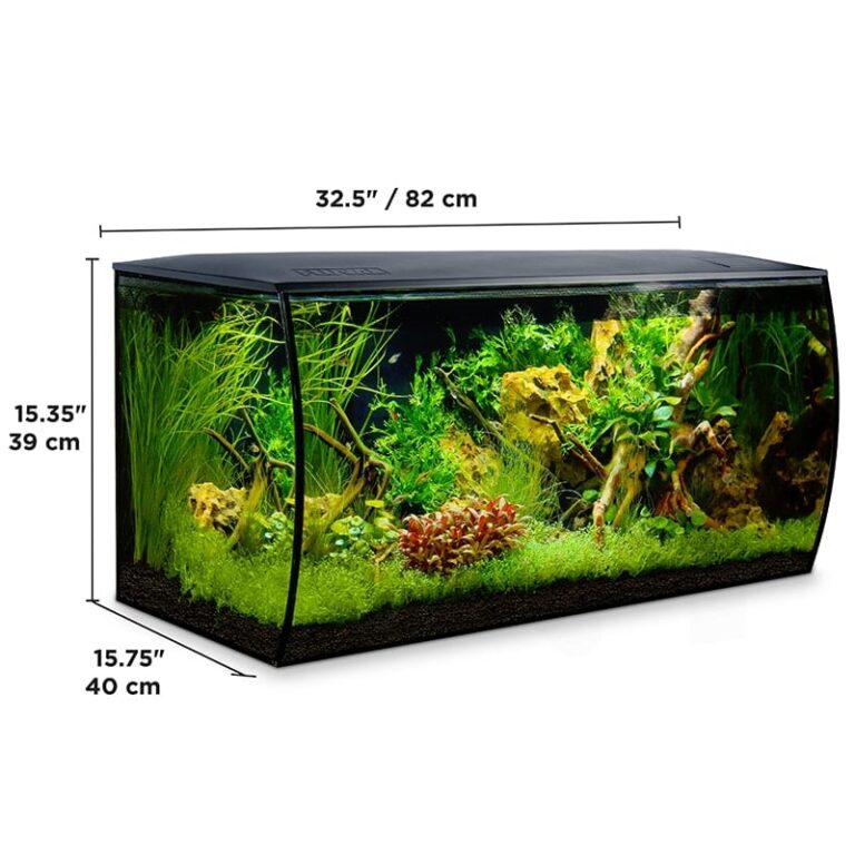 Flex Aquarium Kit, 123 L | Maple Pets International Pvt Ltd