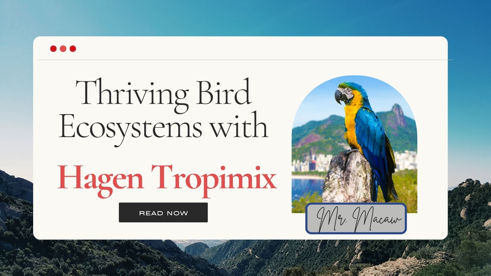 Buy Hagen Tropimix Enrichment Food For Parrots | Maple Pets