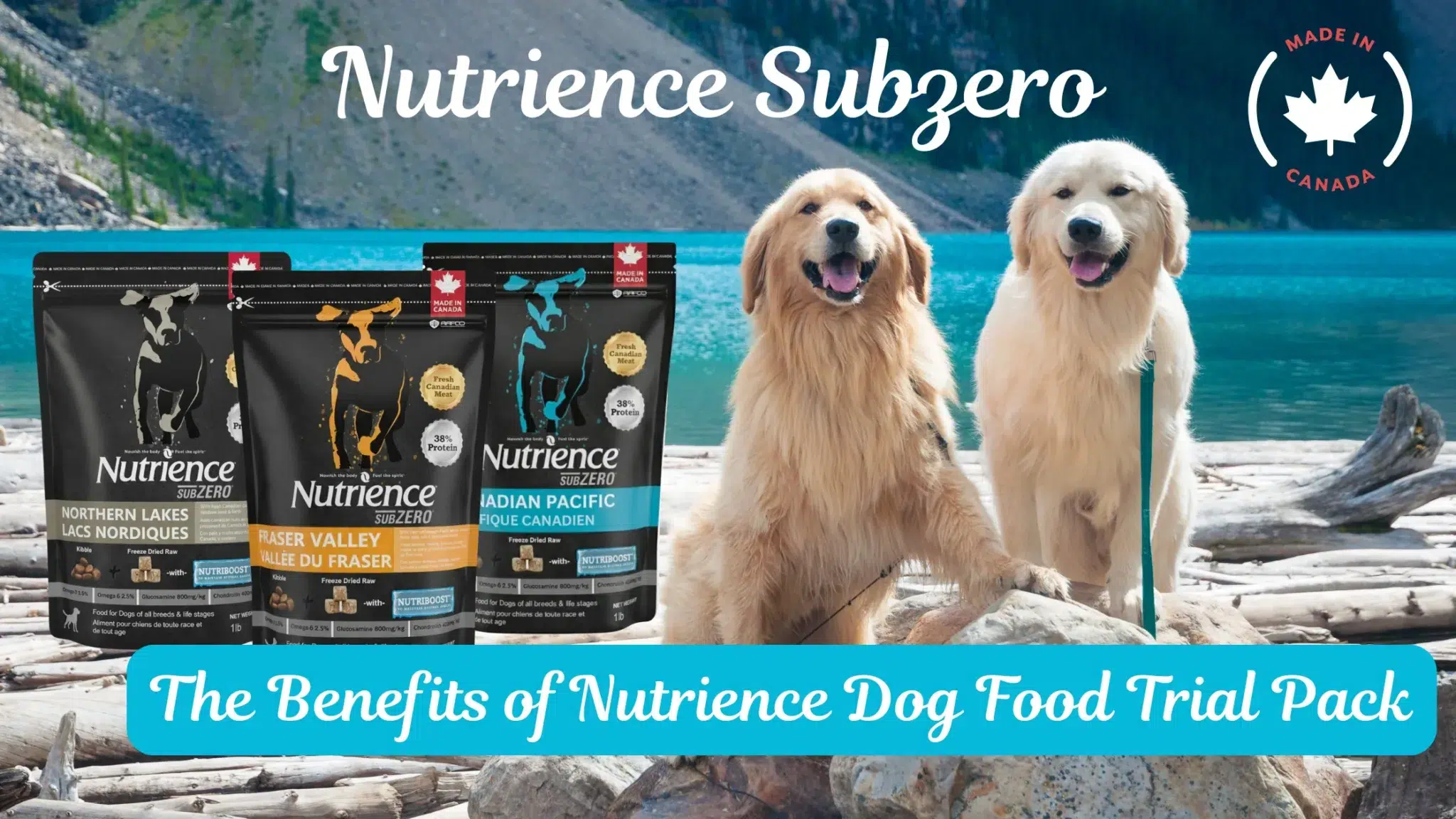 Try Before You Buy: The Benefits of Nutrience Dog Food Trial Packs ...